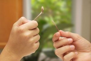 13 Spooky Superstitions and Their Origins - FrightFind