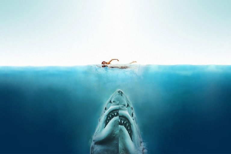 Real-Life Shark Poses as Jaws for the Camera - FrightFind